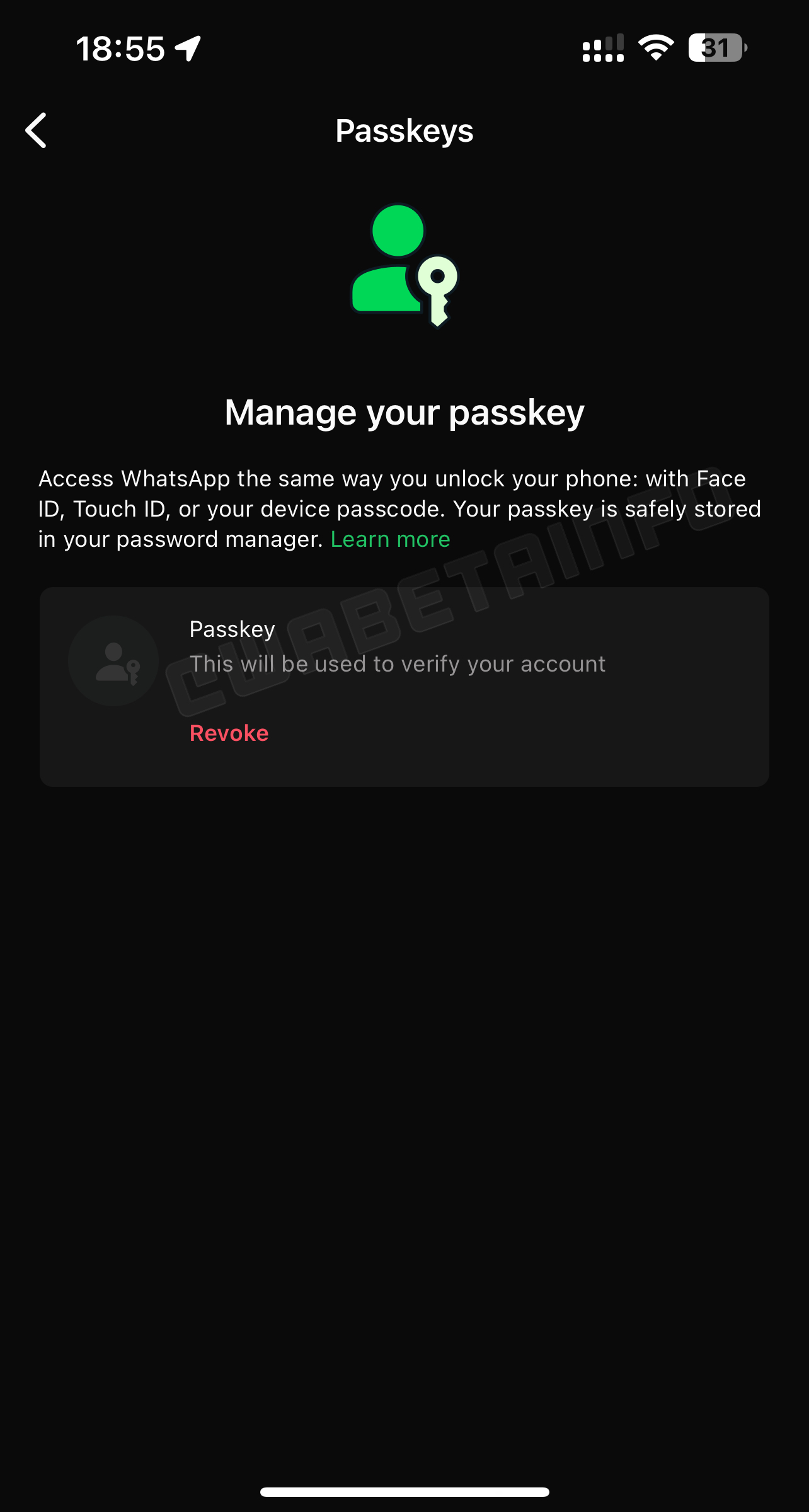 WhatsApp news of the week: passkey feature is available on iOS beta ...